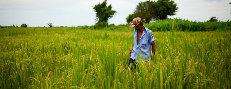 Ecosystem-Based Adaptation | UNDP Climate Change Adaptation