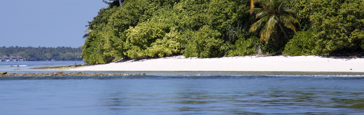 Water Resource Management and Access to Water | Climate Change Adaptation