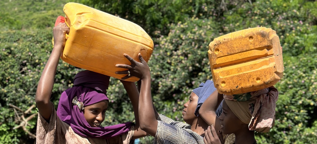 Adaptation in water resources as a pathway to sustainable development ...