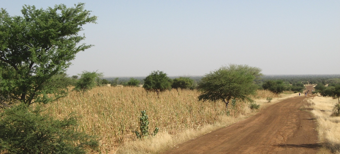 Building capacity in Niger to enable climate change adaptation | UNDP ...