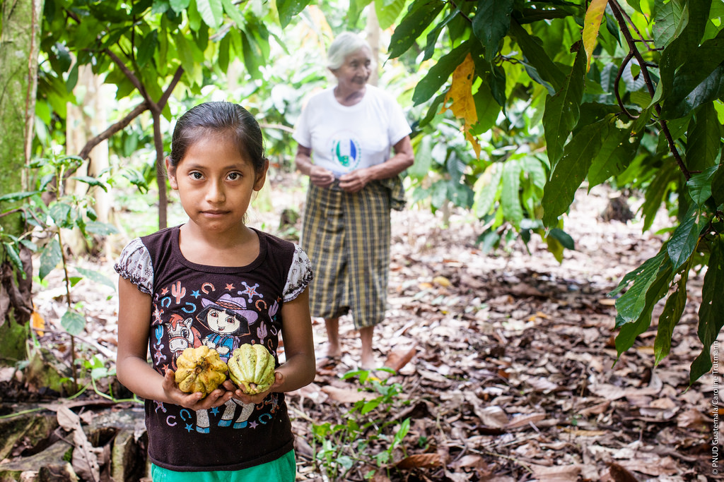 Building climate resilient food systems | UNDP Climate Change Adaptation