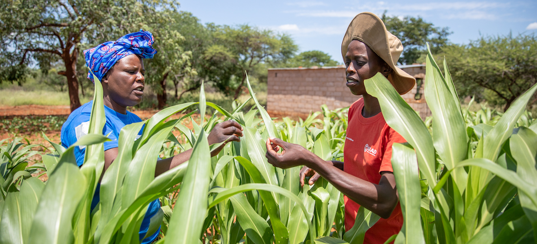 Raising adaptation action through aligning NAPs and NDCs in African ...