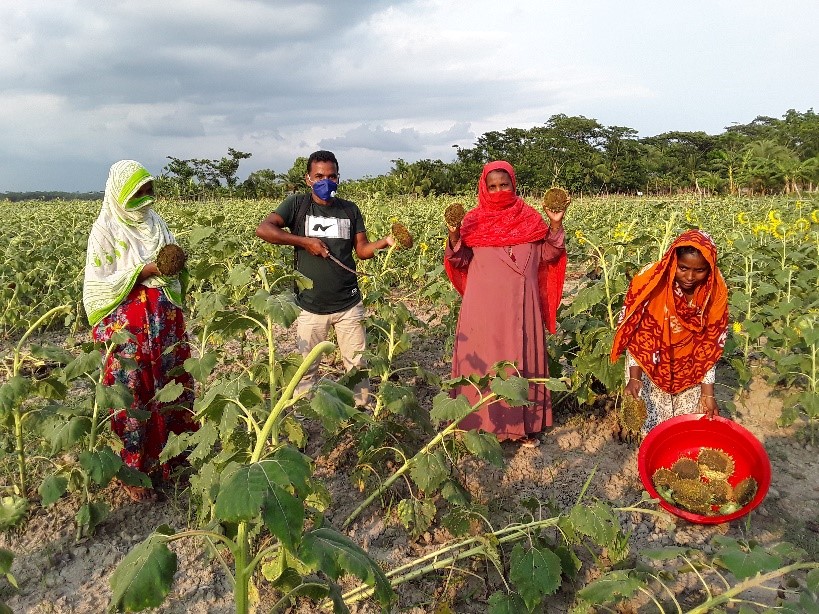 Bangladesh has the Zero Draft of its National Adaptation Plan | UNDP Climate Change Adaptation