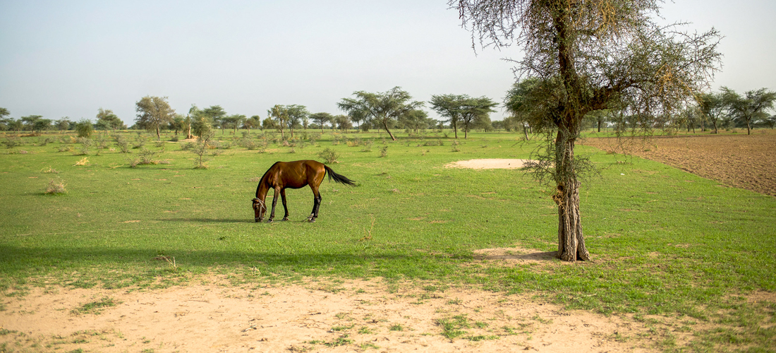 Strengthening transformative approaches in Senegal’s climate action ...