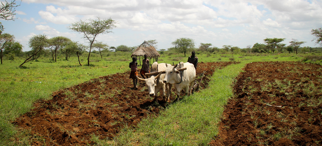 Uganda identifies barriers, solutions, and investment opportunities for ...
