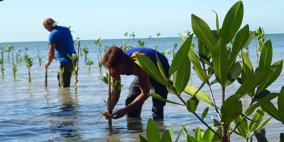 Adaptation is local in nature, and needs local innovation to address ...