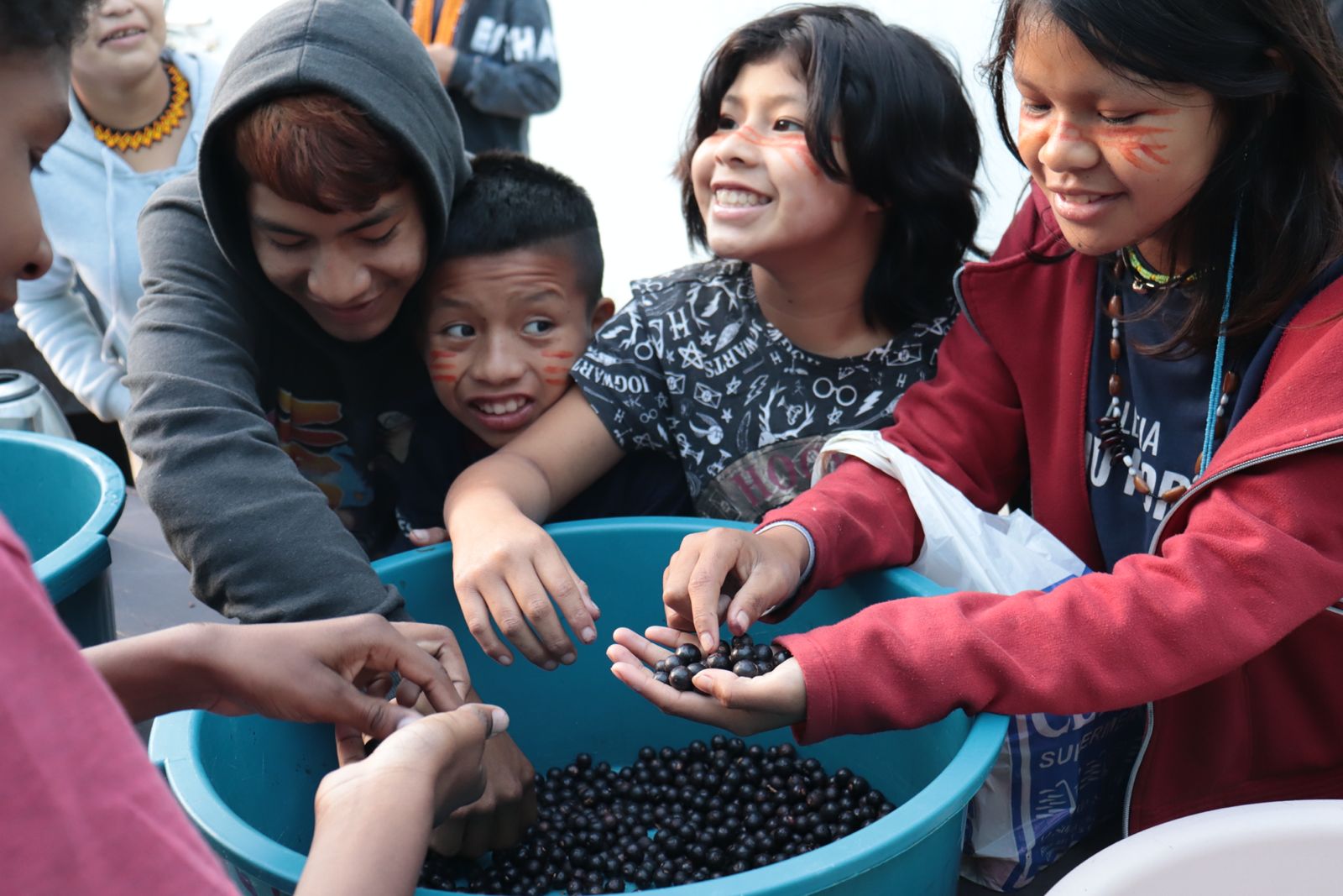 How Açaí berries and agroforestry are boosting food security and income ...
