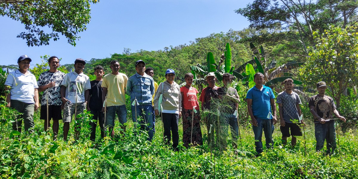 Planting for the future: Reforestation brings new life to Aileu and ...