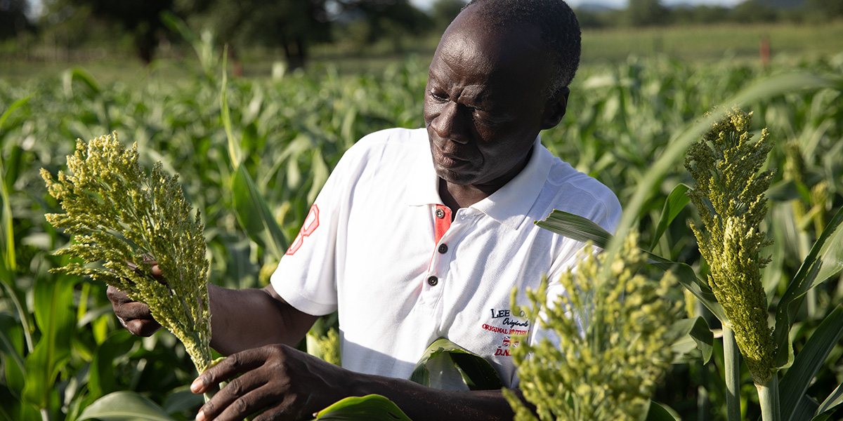 Chizivano Shava: Innovating water harvesting and climate-smart ...