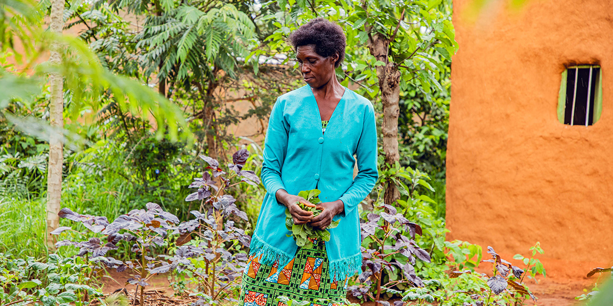 GEF Council announces $40 million for nature-based climate adaptation ...