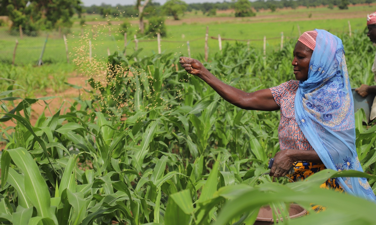 In Ghana and Kenya, rural communities adopt innovative solutions to ...