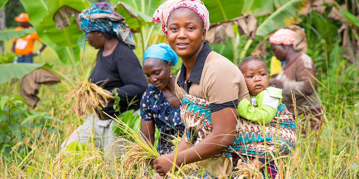 Guinea launches project aimed at strengthening the climate resilience ...
