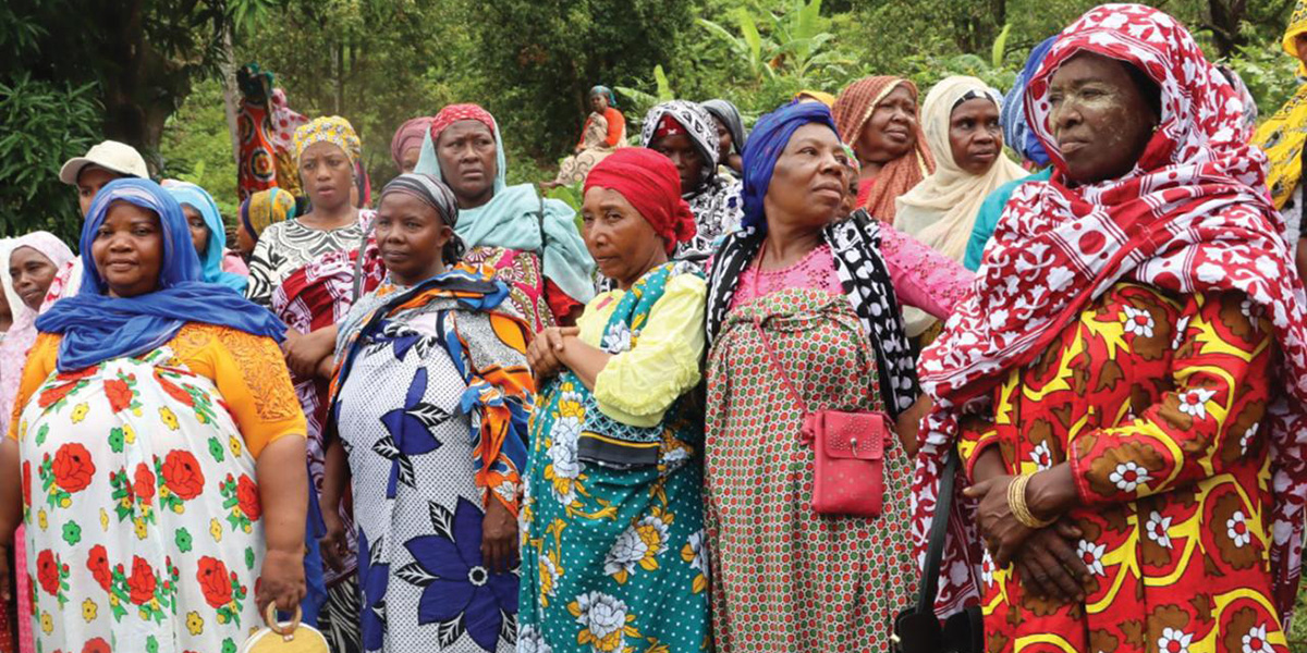 Lessons for the world from the “Islands of the Moon”, Comoros | UNDP ...