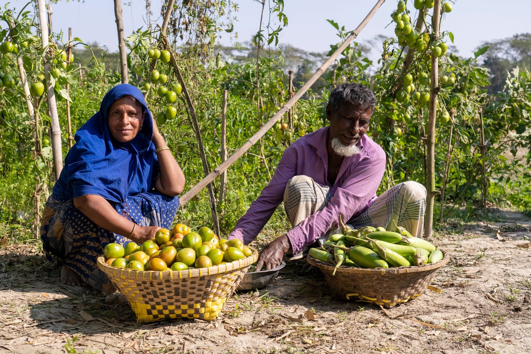 Opportunities to accelerate adaptation | UNDP Climate Change Adaptation