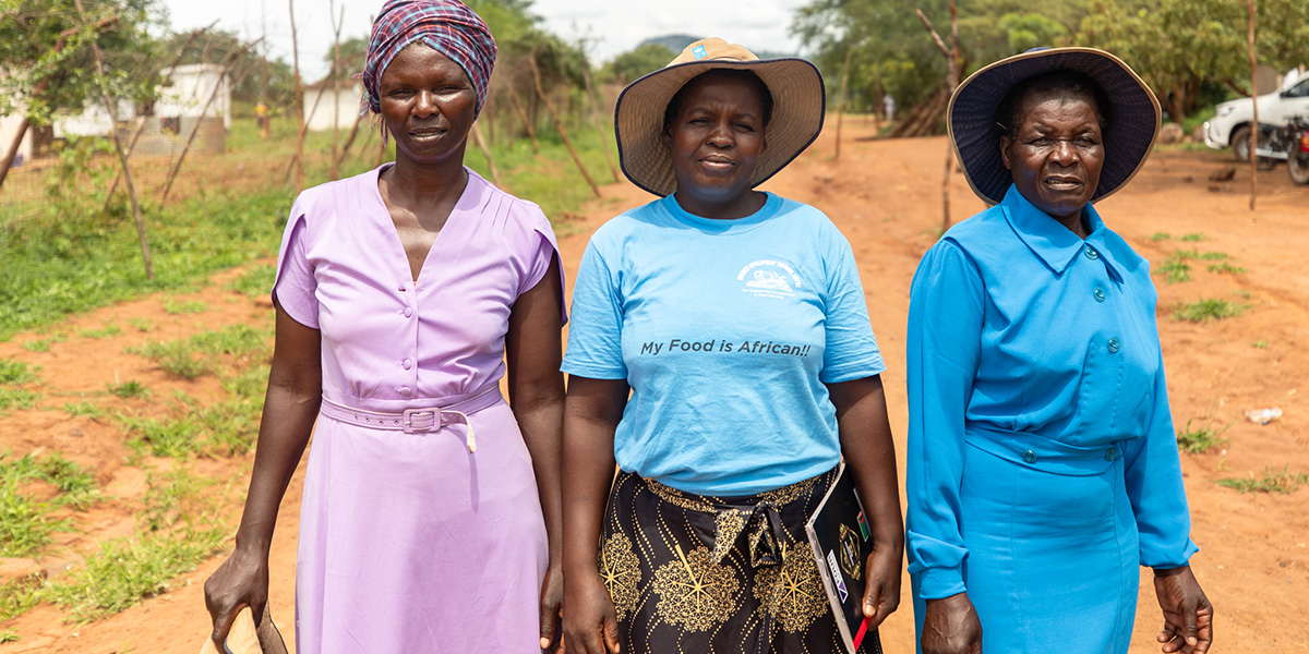 Rural women rising: How climate-smart agriculture is empowering women ...