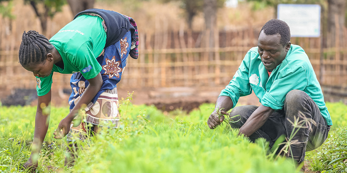 Malawi secures $8.9 million from Global Environment Facility to build ...