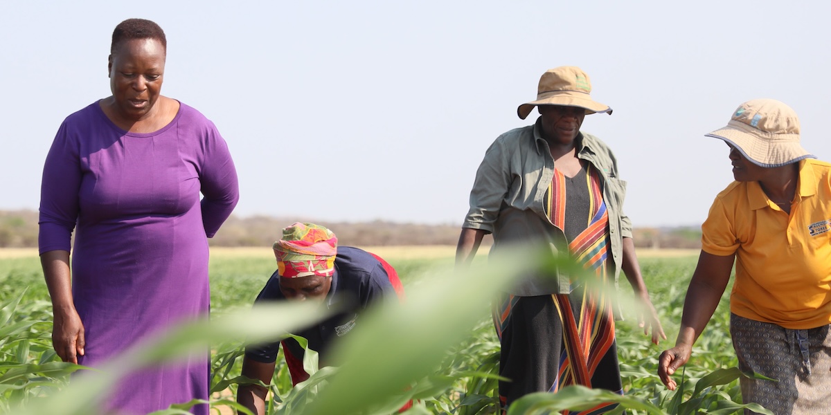 Unlocking agribusiness opportunities: Farmers and private sector forge ties in irrigation ...