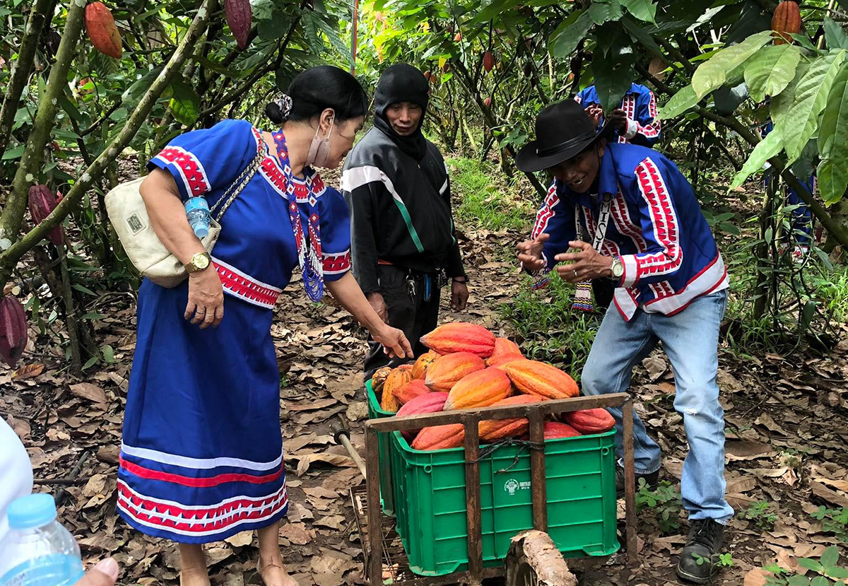 Forest protectors in the Philippines: How Indigenous groups are ...