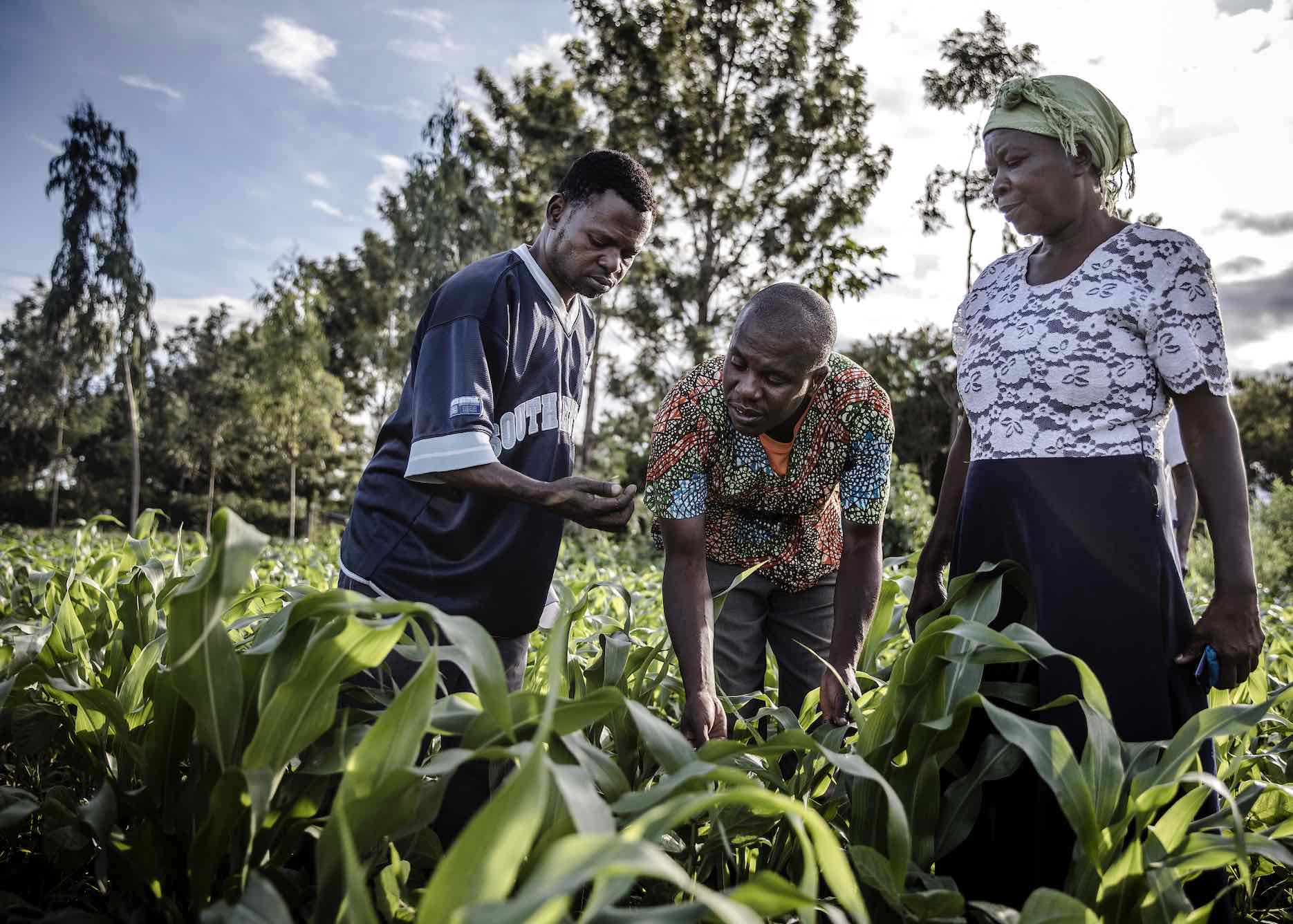 COP27 side-event: Unlocking multi-stakeholder collaboration for transformative agrifood systems ...