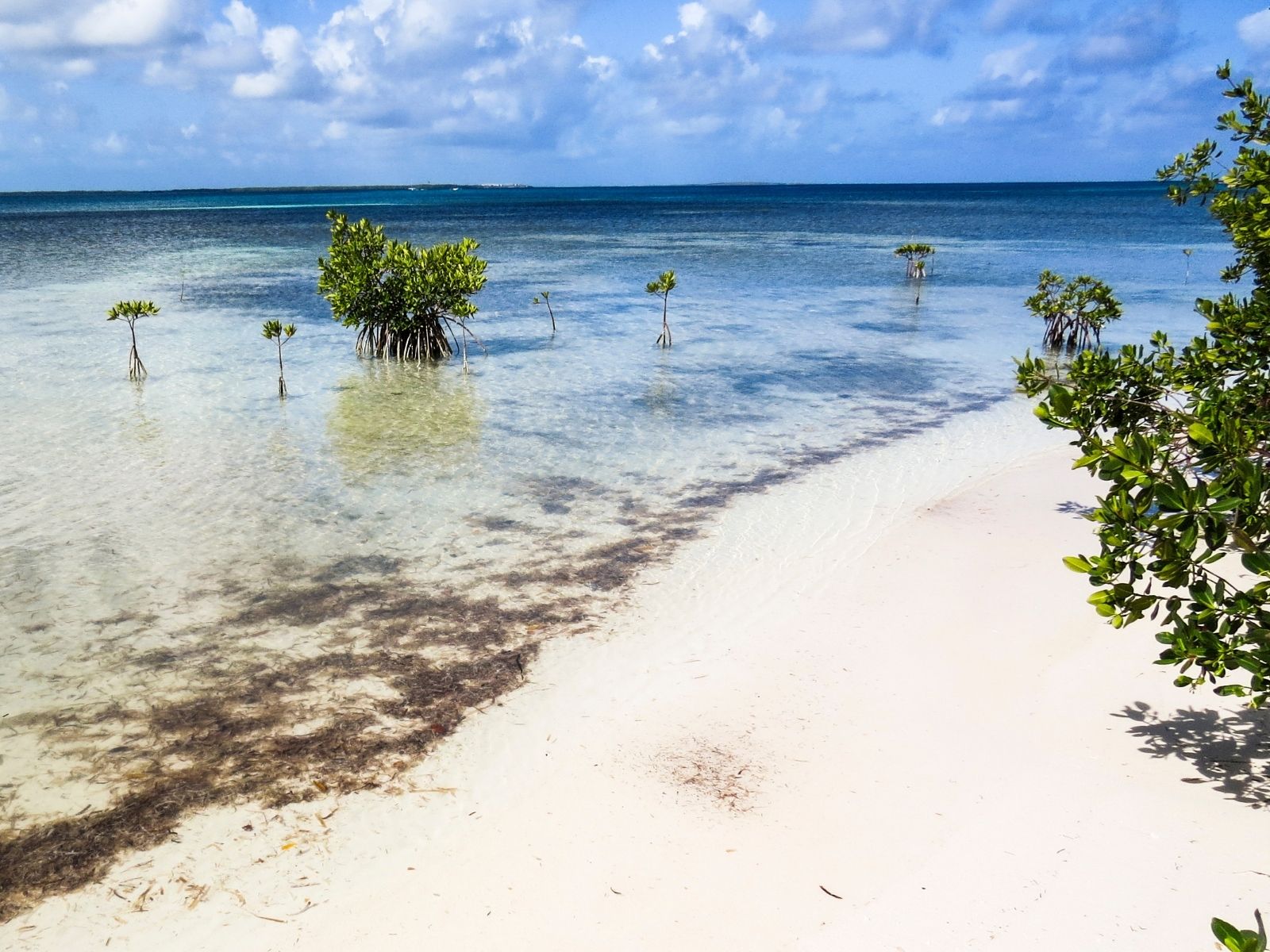 Cuba accesses US$23.9 million grant from Green Climate Fund for coastal ...