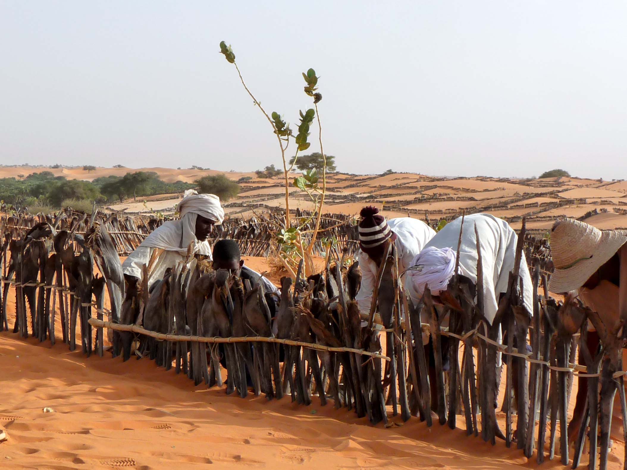 Launch of two adaptation projects to advance Niger NAP | UNDP Climate ...