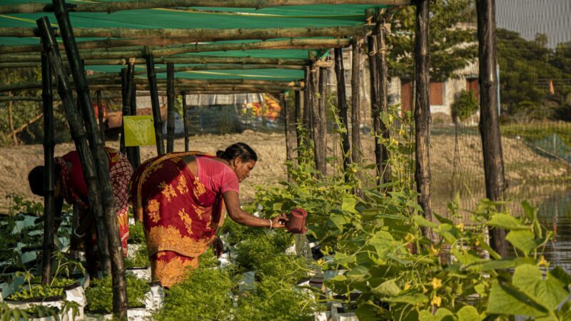 Floating farms are transforming life on India’s waterways | UNDP ...