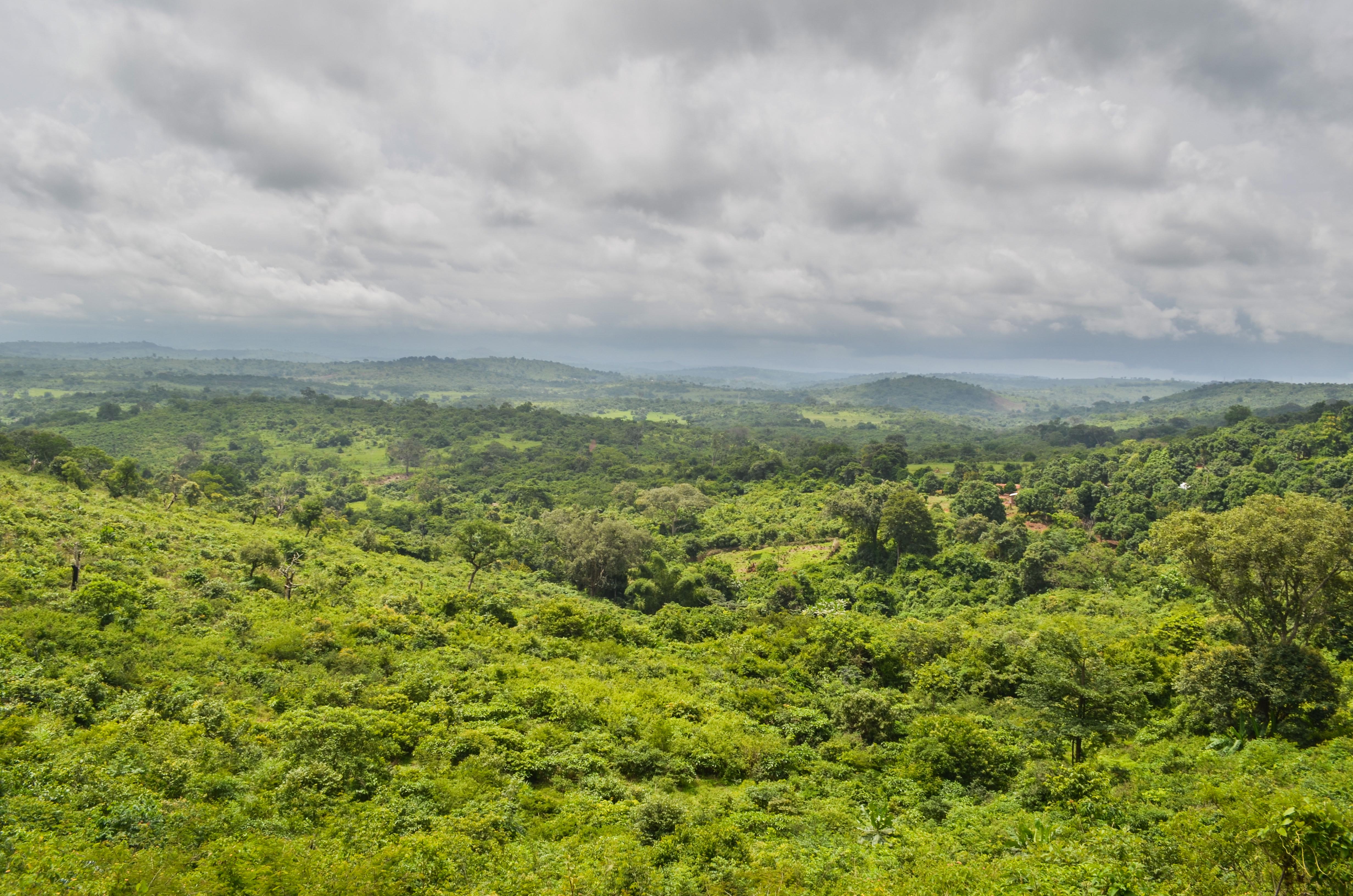 Guinea and UNDP launch new adaptation project to prepare for climate ...