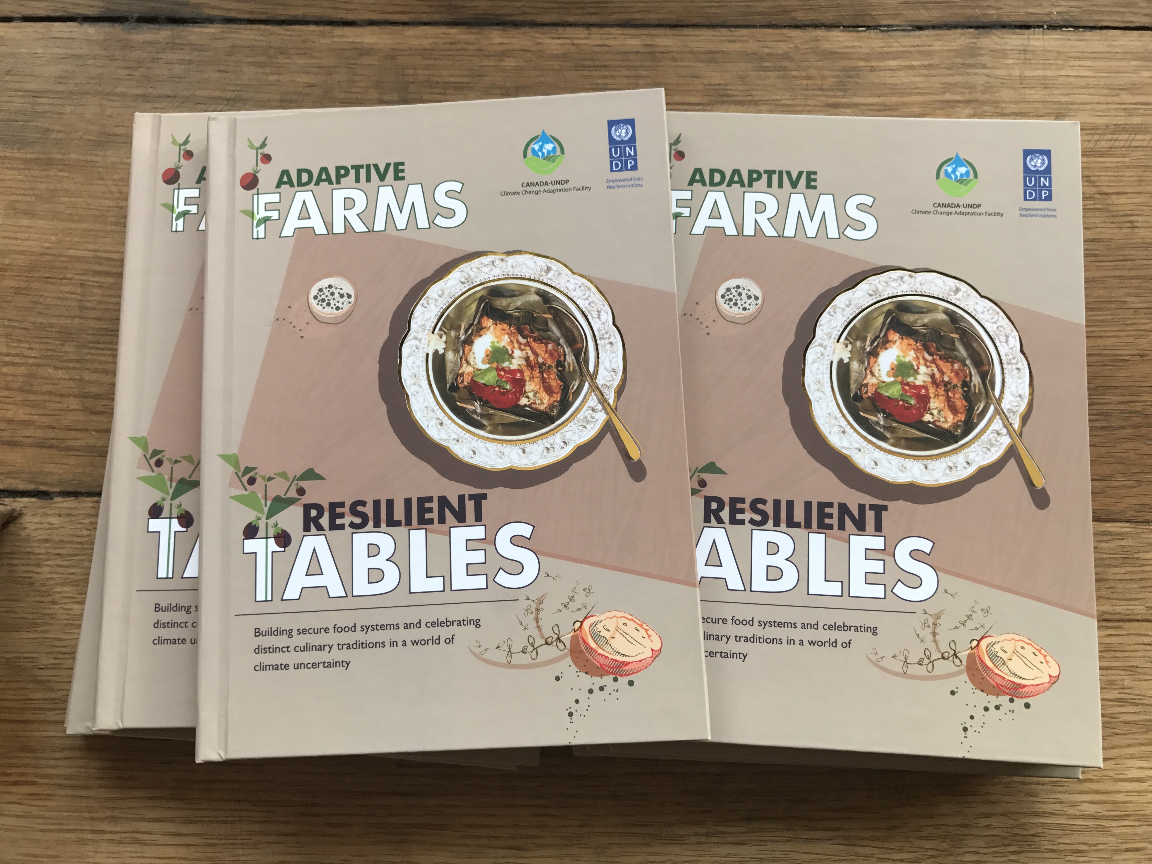 A debut cookbook of climate-resilient recipes | UNDP Climate Change ...