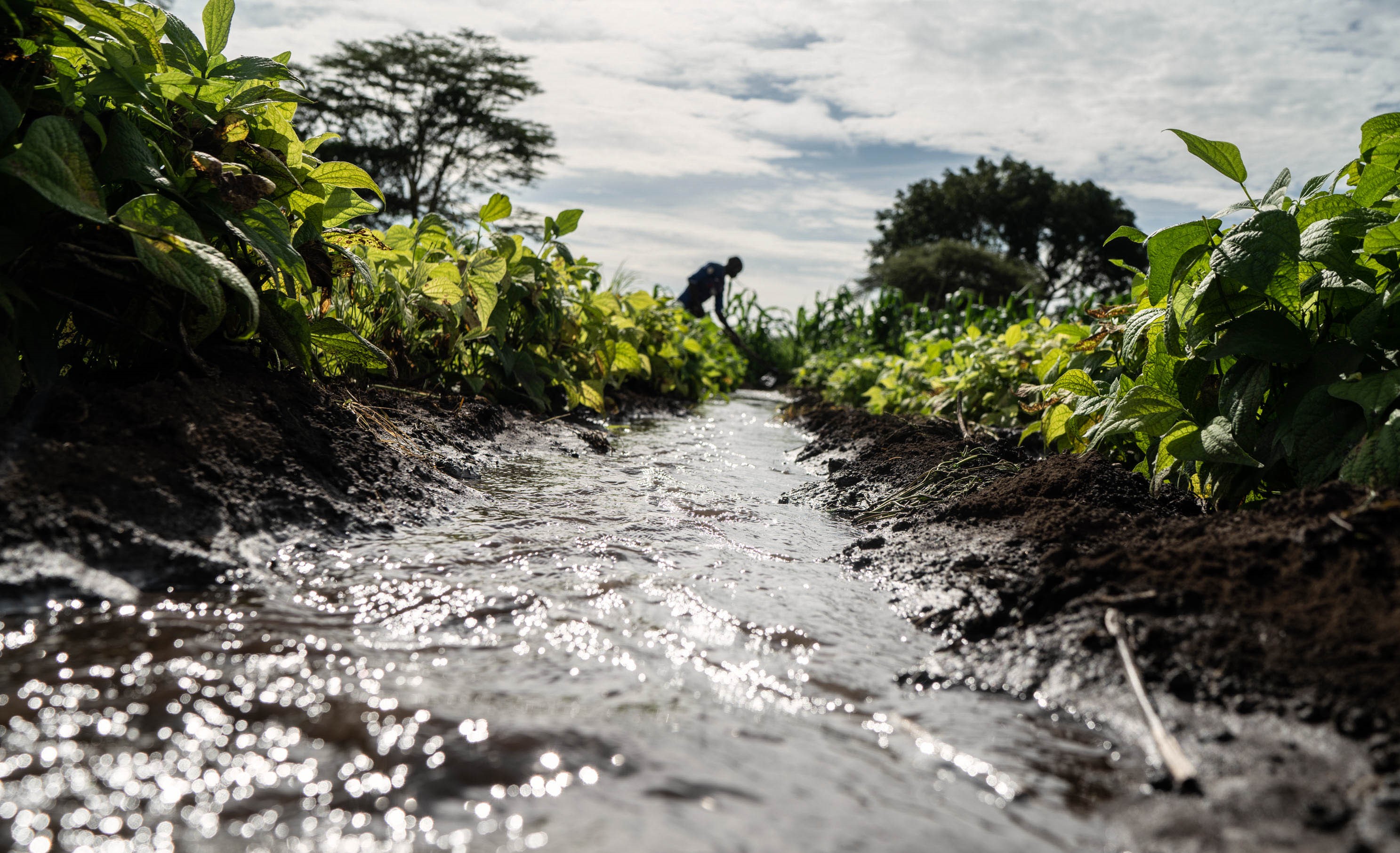 Global NDC conference 2023: Implementing climate change action in agriculture through an ...
