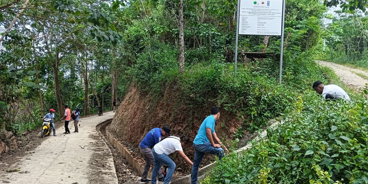 Building resilience in Liquiçá: Roads, water, and community at the ...