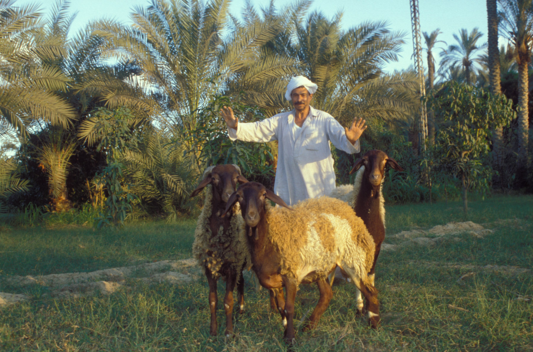 COP27 side-event: Supporting transformative climate actions in ...