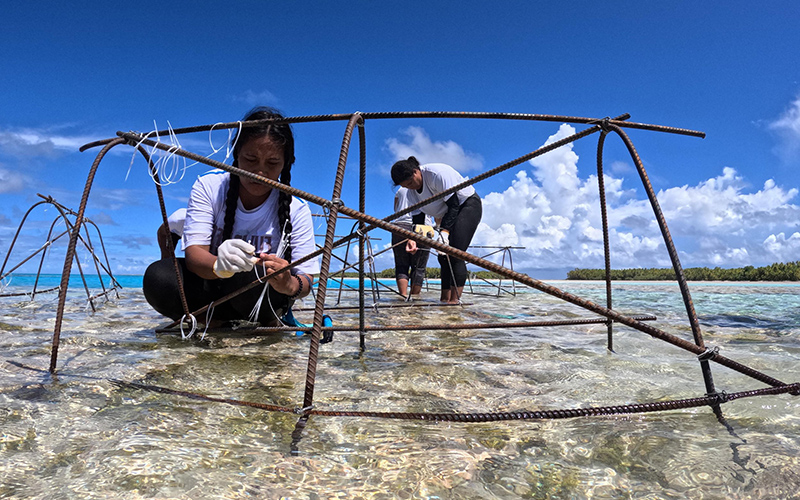 Reef rebirth: fighting for Tuvalu’s corals | UNDP Climate Change Adaptation