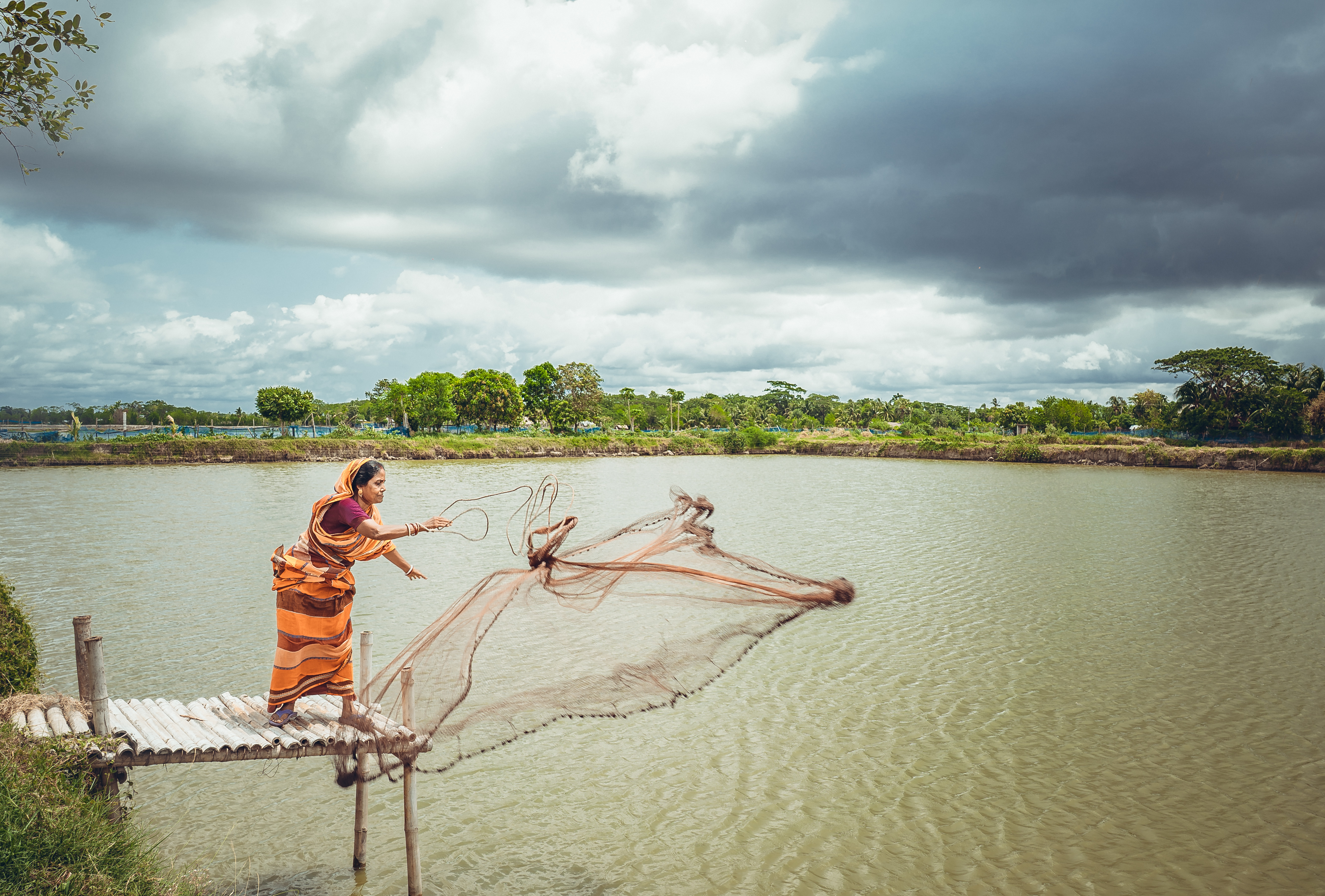 From policy to practice: How local plans are building climate ...