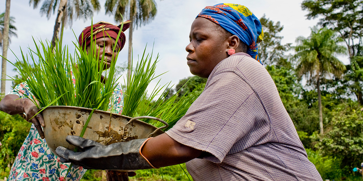 UNDP and partners in Liberia validate climate resilience project known ...