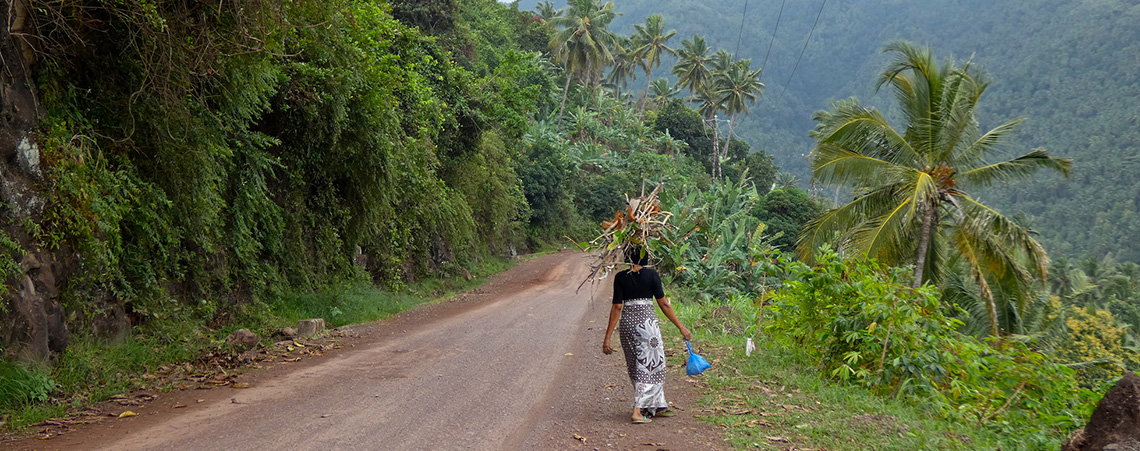 Strengthening the Resilience of Climate-Smart Agricultural Systems and ...