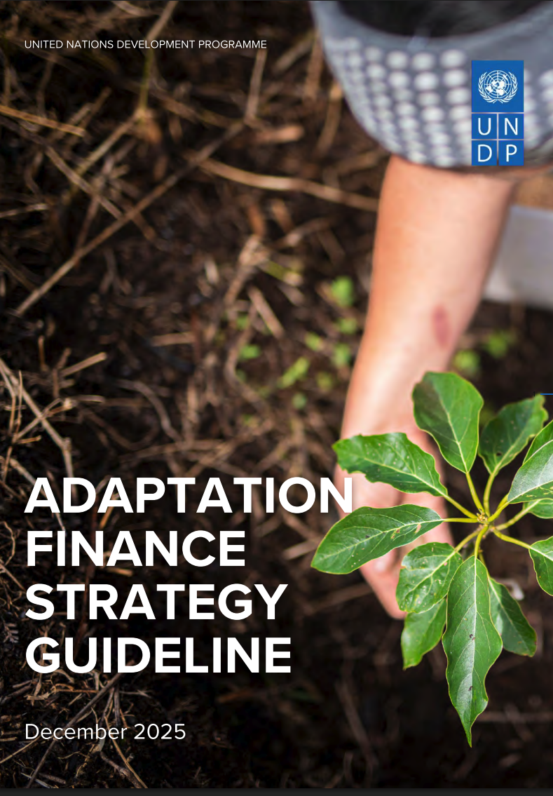 Adaptation Finance Strategy Guideline | UNDP Climate Change Adaptation