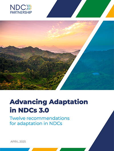 Advancing Adaptation in NDCs 3.0: Twelve recommendations for adaptation ...