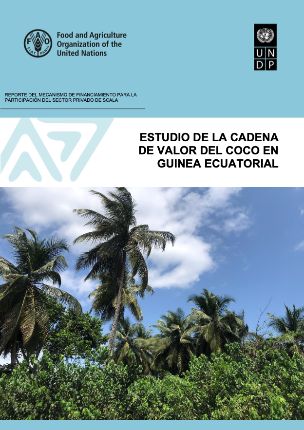 Study of the coconut value chain in Equatorial Guinea | UNDP Climate ...