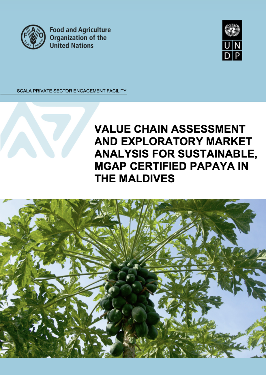 Value chain assessment and exploratory market analysis for sustainable ...