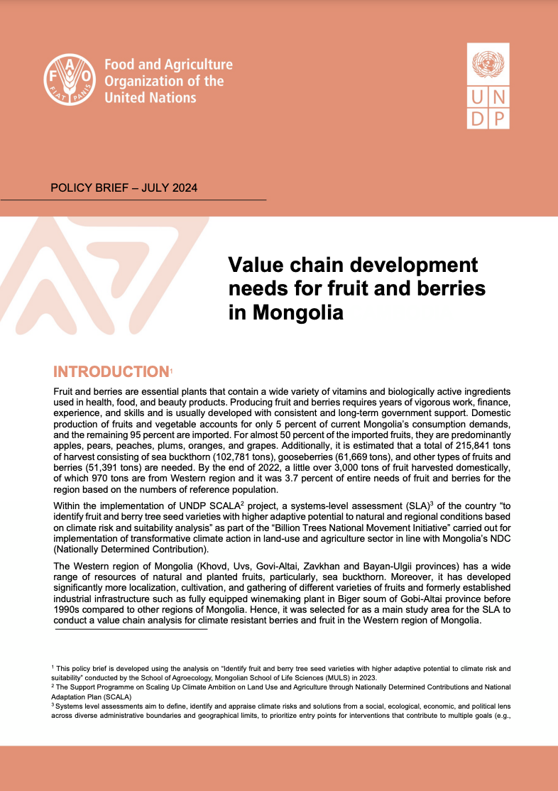 Value chain development needs for fruit and berries in Mongolia | UNDP ...