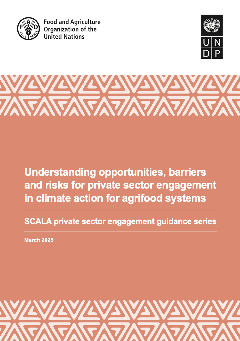 Understanding opportunities, barriers and risks for private sector ...