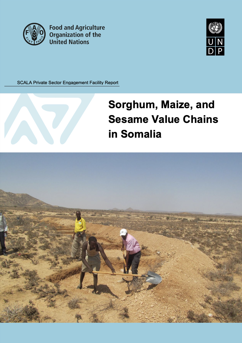 Sorghum, maize, and sesame value chains in Somalia | UNDP Climate ...