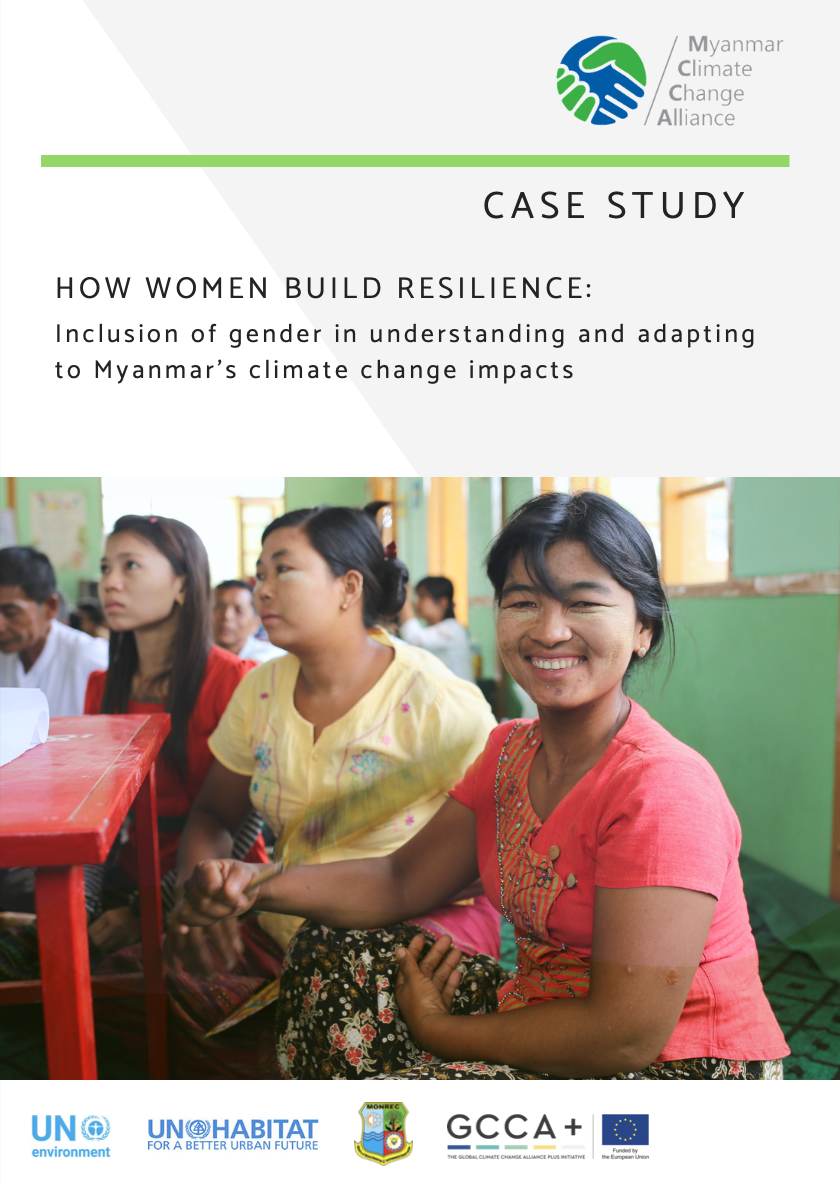 How women build resilience: Inclusion of gender in understanding and ...