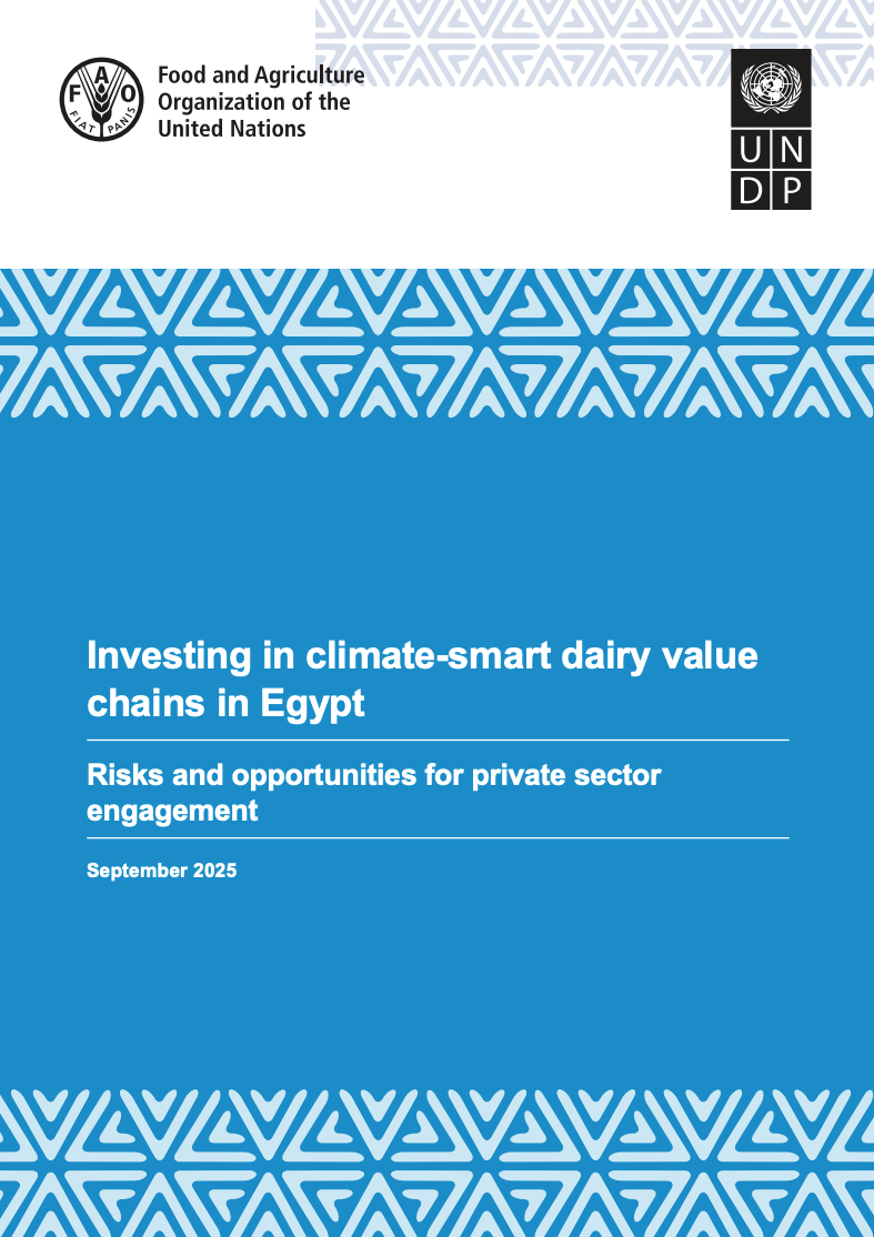 Investing in climate-smart dairy value chains in Egypt | UNDP Climate ...