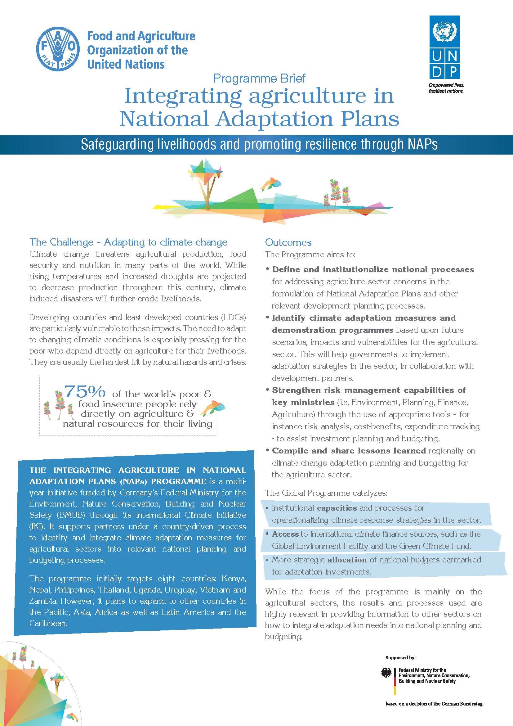 NAPs Agriculture Programme Brief | UNDP Climate Change Adaptation