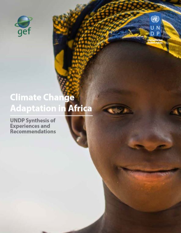 Climate Change Adaptation in Africa: UNDP Synthesis of Experiences and Recommendations | UNDP ...