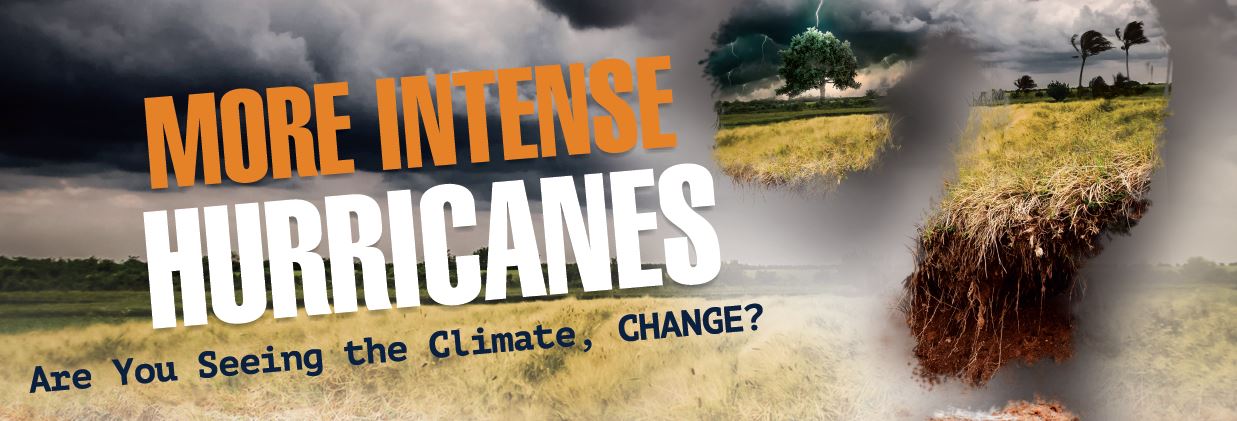 'Feel the Change' Campaign - Hurricane Billboard | UNDP Climate Change ...