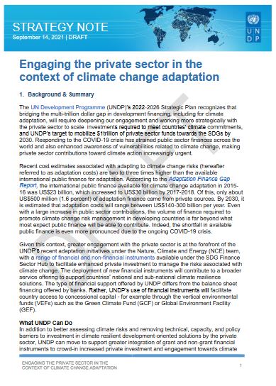 Strategy Note: Engaging the private sector in the context of climate change adaptation | UNDP ...