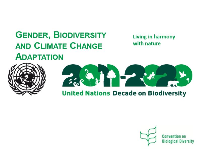Powerpoint Presentation: 'Gender, Biodiversity and Climate Change ... Powerpoint Presentation: 'Gender, Biodiversity and Climate Change ...