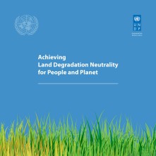 Achieving Land Degradation Neutrality for People and Planet | UNDP ...